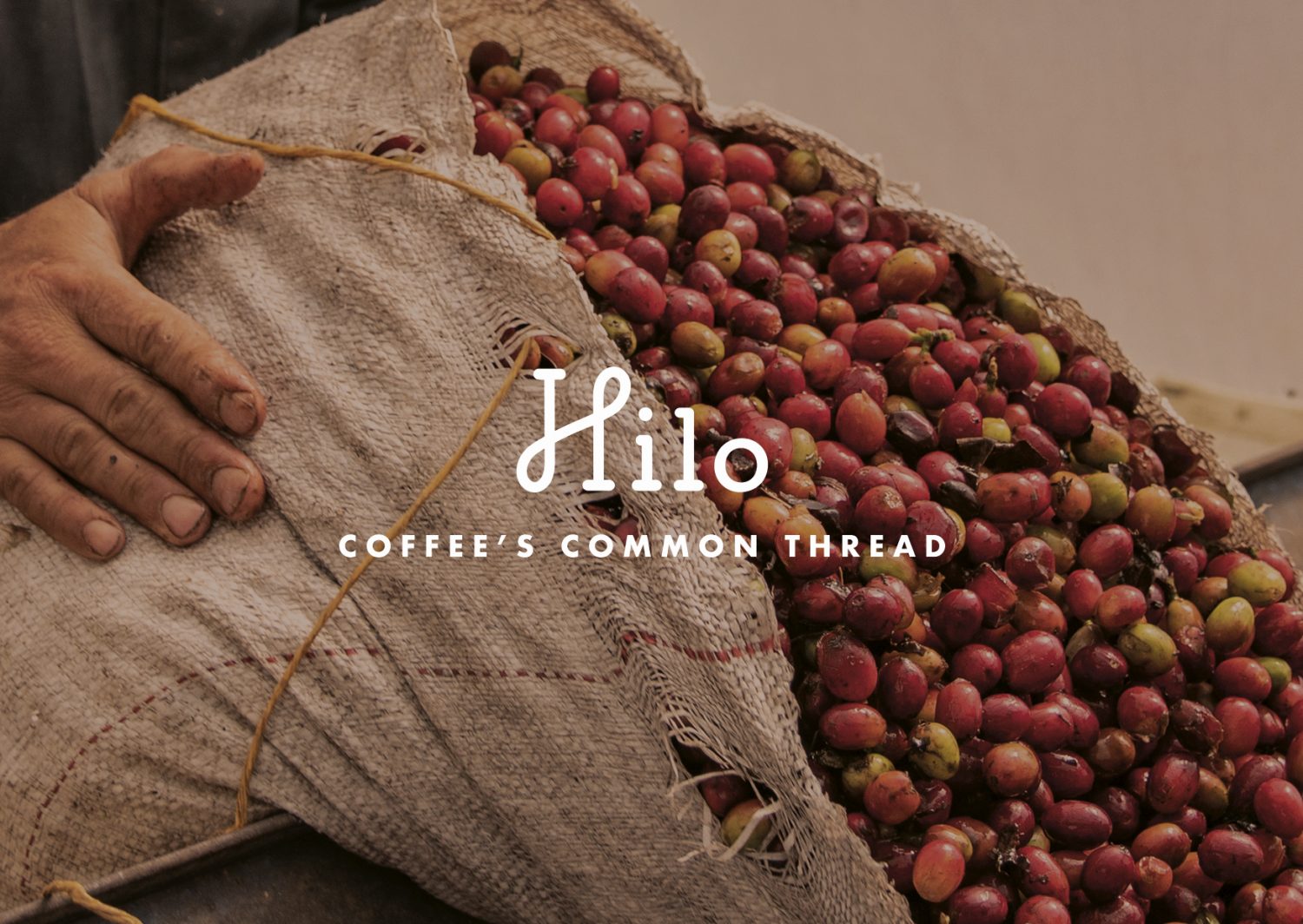 Co.hilo Systems Practice - co.hilo